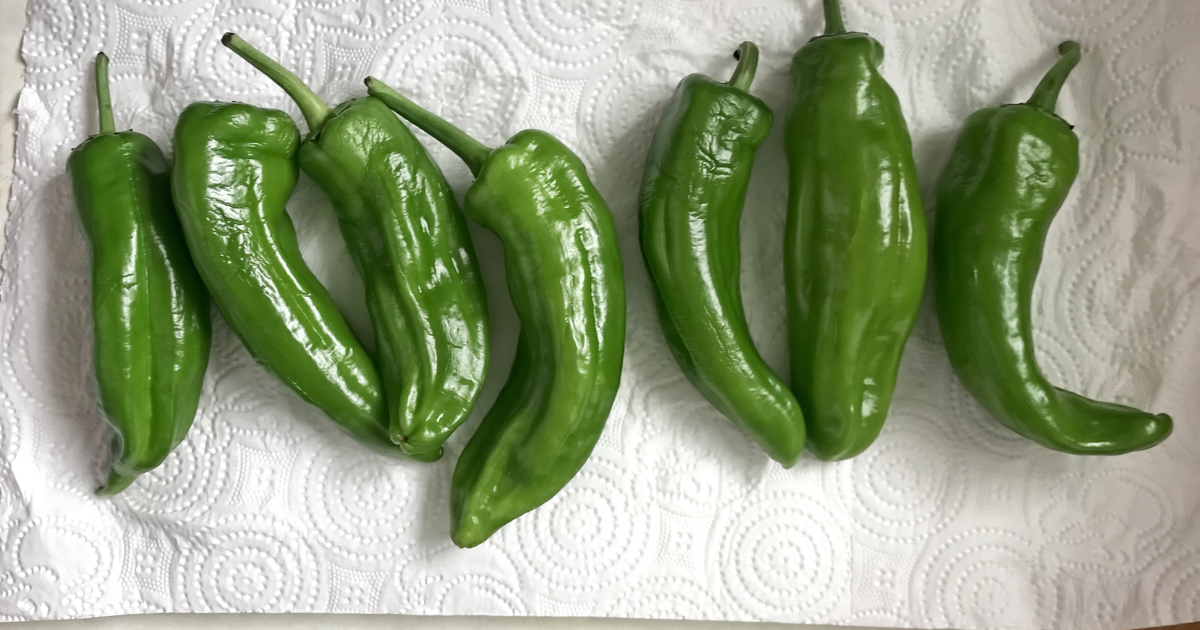 How to Keep Vegetables Fresh using Kitchen Roll - Plenty